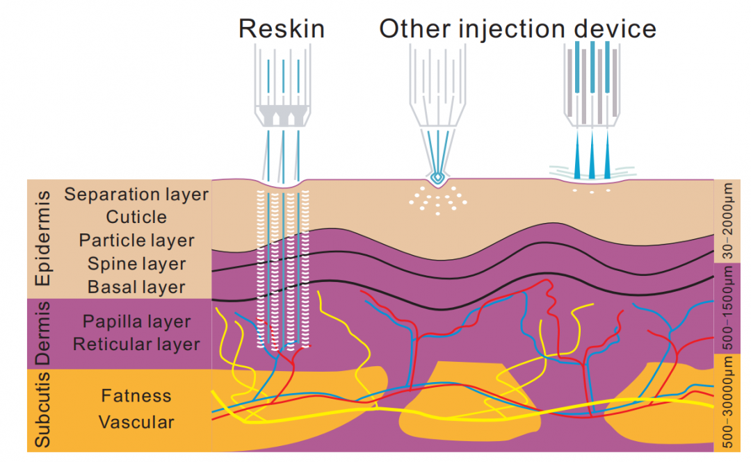 Why does our skin need hydration • Dimyth